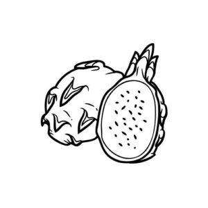 33+ Dark Dragon Fruit Drawing Ideas for Beginners - Artist Been