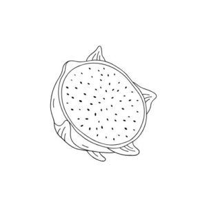 33+ Dark Dragon Fruit Drawing Ideas for Beginners - Artist Been