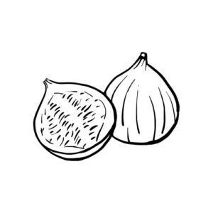 32+ Nutritious Fig Drawing Ideas for Beginners - Artist Been