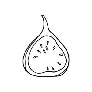 32+ Nutritious Fig Drawing Ideas for Beginners - Artist Been