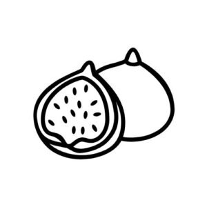 32+ Nutritious Fig Drawing Ideas for Beginners - Artist Been