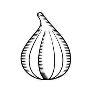 32+ Nutritious Fig Drawing Ideas for Beginners - Artist Been