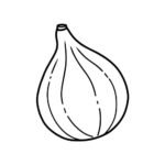 32+ Nutritious Fig Drawing Ideas for Beginners - Artist Been
