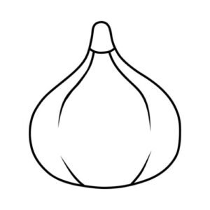 32+ Nutritious Fig Drawing Ideas for Beginners - Artist Been