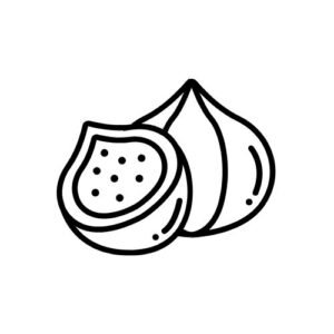 32+ Nutritious Fig Drawing Ideas for Beginners - Artist Been