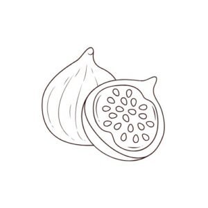 32+ Nutritious Fig Drawing Ideas for Beginners - Artist Been