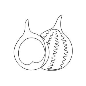 32+ Nutritious Fig Drawing Ideas for Beginners - Artist Been