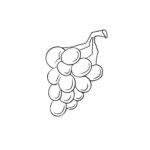 30+ Good Grape Drawing Ideas for Beginners - Artist Been