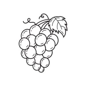 30+ Good Grape Drawing Ideas for Beginners - Artist Been