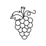 30+ Good Grape Drawing Ideas for Beginners - Artist Been