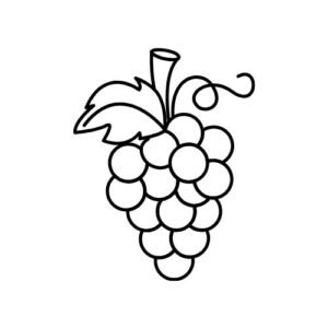 30+ Good Grape Drawing Ideas for Beginners - Artist Been