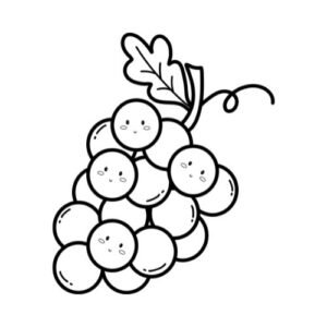 30+ Good Grape Drawing Ideas for Beginners - Artist Been