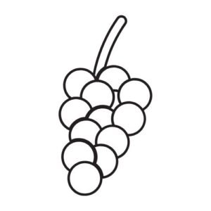 30+ Good Grape Drawing Ideas for Beginners - Artist Been