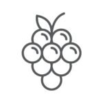 30+ Good Grape Drawing Ideas for Beginners - Artist Been