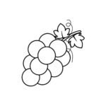 30+ Good Grape Drawing Ideas for Beginners - Artist Been