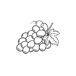 30+ Good Grape Drawing Ideas for Beginners - Artist Been