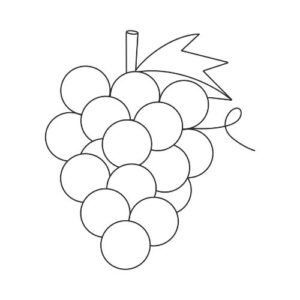 30+ Good Grape Drawing Ideas for Beginners - Artist Been