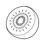 32+ Sweet Kiwi Drawing Ideas for Beginners - Artist Been