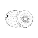 32+ Sweet Kiwi Drawing Ideas for Beginners - Artist Been