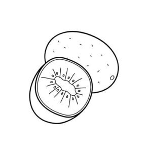 32+ Sweet Kiwi Drawing Ideas for Beginners - Artist Been
