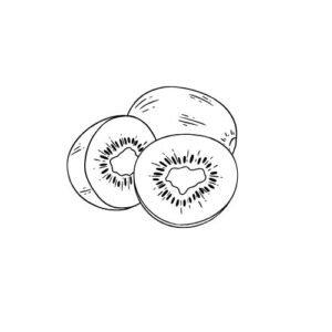32+ Sweet Kiwi Drawing Ideas for Beginners - Artist Been