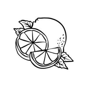 31+ Lovely Lime Drawing Ideas for Beginners - Artist Been