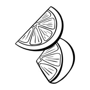31+ Lovely Lime Drawing Ideas for Beginners - Artist Been
