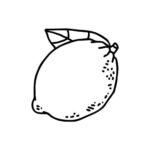 31+ Lovely Lime Drawing Ideas for Beginners - Artist Been