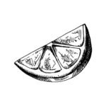 31+ Lovely Lime Drawing Ideas for Beginners - Artist Been