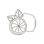 31+ Lovely Lime Drawing Ideas for Beginners - Artist Been