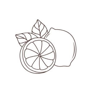 31+ Lovely Lime Drawing Ideas for Beginners - Artist Been