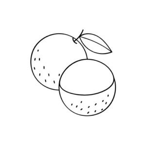 31+ Lovely Lychee Drawing Ideas for Beginners - Artist Been