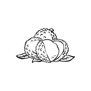 31+ Lovely Lychee Drawing Ideas for Beginners - Artist Been