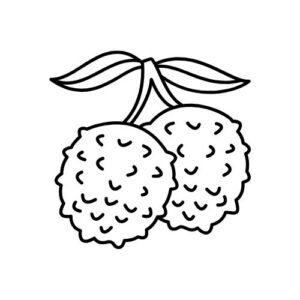 31+ Lovely Lychee Drawing Ideas for Beginners - Artist Been