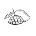 35+ Sweet Mango Drawing Ideas for Beginners - Artist Been