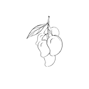 35+ Sweet Mango Drawing Ideas for Beginners - Artist Been