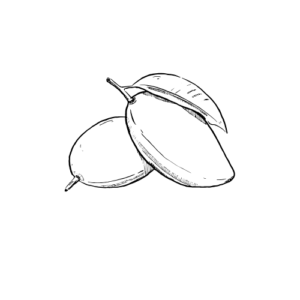 35+ Sweet Mango Drawing Ideas for Beginners - Artist Been