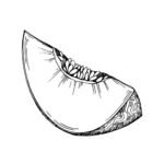 32+ Juicy Melon Drawing Ideas for Beginners - Artist Been