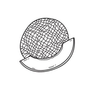 32+ Juicy Melon Drawing Ideas for Beginners - Artist Been