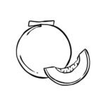 32+ Juicy Melon Drawing Ideas for Beginners - Artist Been