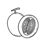 32+ Juicy Melon Drawing Ideas for Beginners - Artist Been
