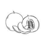 32+ Juicy Melon Drawing Ideas for Beginners - Artist Been