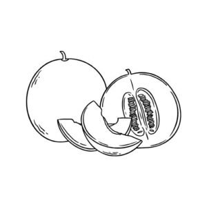 32+ Juicy Melon Drawing Ideas for Beginners - Artist Been