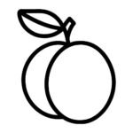 25+ New Nectarine Drawing Ideas for Beginners - Artist Been
