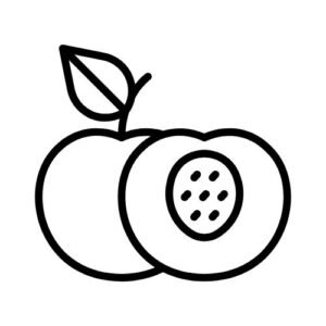 25+ New Nectarine Drawing Ideas for Beginners - Artist Been