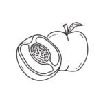 25+ New Nectarine Drawing Ideas for Beginners - Artist Been