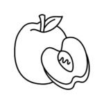 25+ New Nectarine Drawing Ideas for Beginners - Artist Been