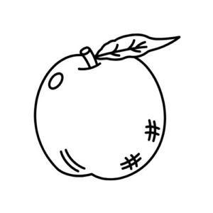 25+ New Nectarine Drawing Ideas for Beginners - Artist Been