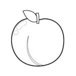 25+ New Nectarine Drawing Ideas for Beginners - Artist Been