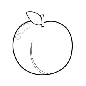 25+ New Nectarine Drawing Ideas for Beginners - Artist Been